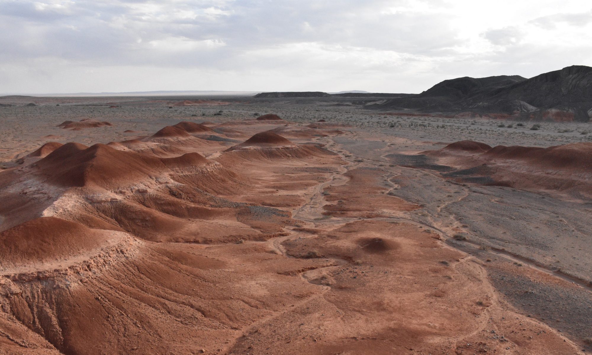 Mongolia – Greg Funston Palaeontology
