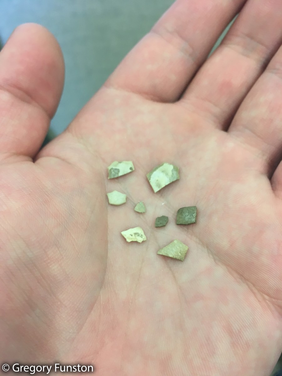 Eggshell from the Horseshoe Canyon Formation – Greg Funston Palaeontology