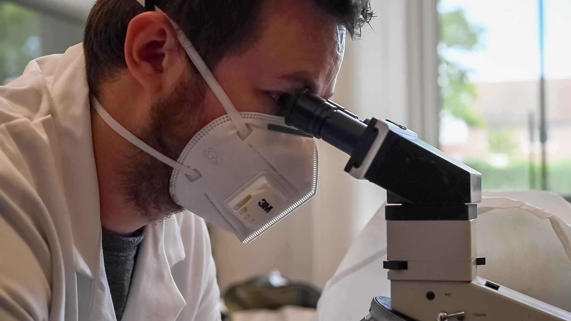 Greg Funston Palaeontology