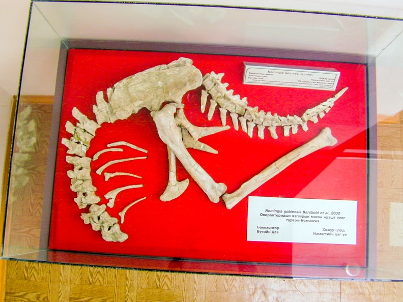 Nomingia no more – Greg Funston Palaeontology